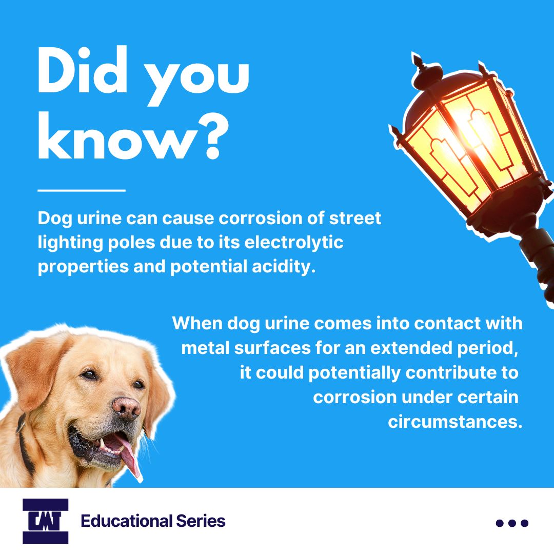 Causes of Corrosion in Street Lamps – Educational Series – CMT Global ...